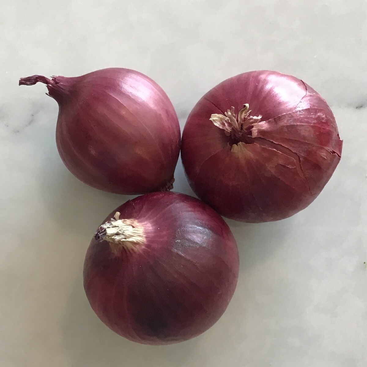 Onions, Red, Organic | Exist Green