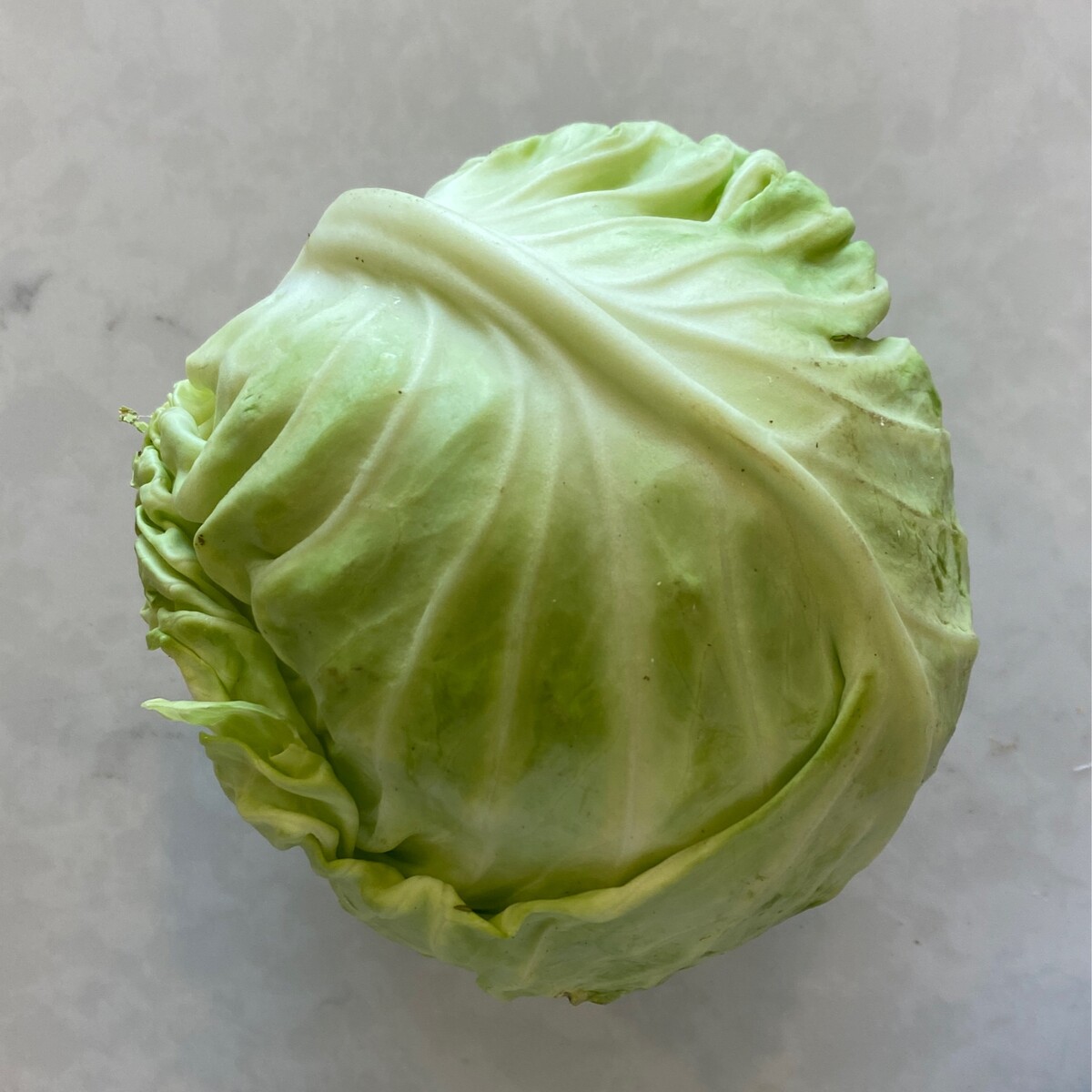 Green Cabbage