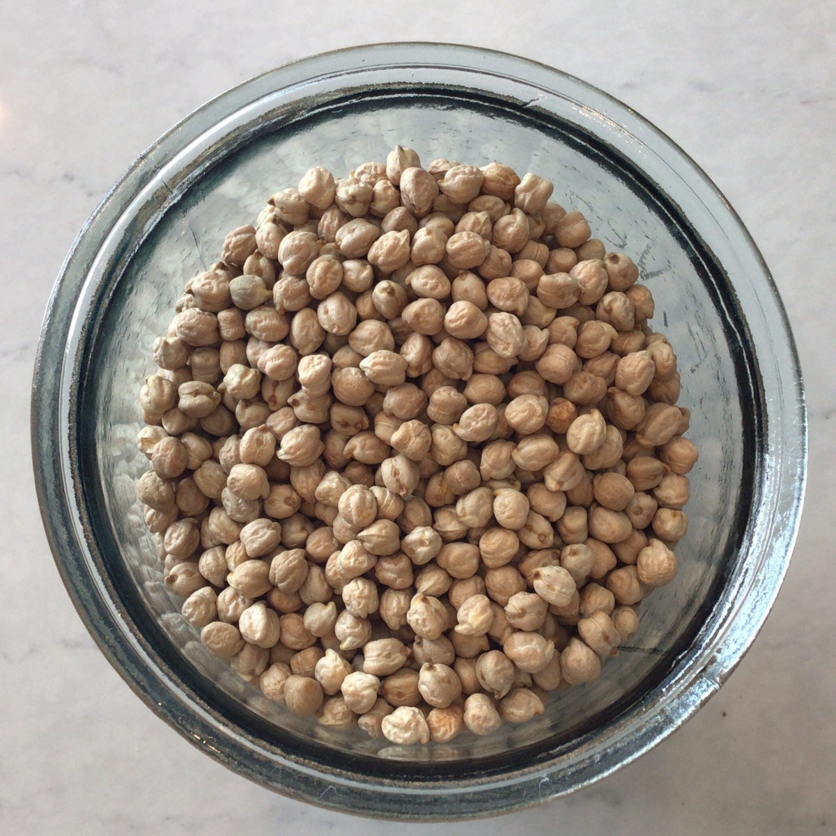 Beans, Garbanzo, aka “Chickpeas” | Exist Green