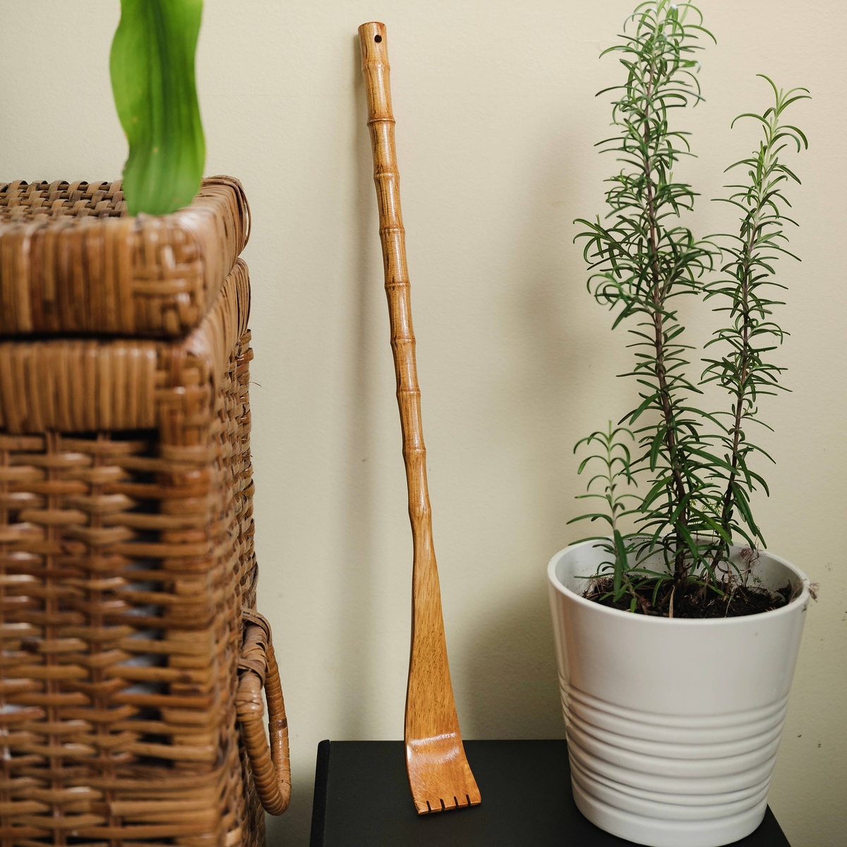 Bamboo Switch – Back Scratcher | Exist Green