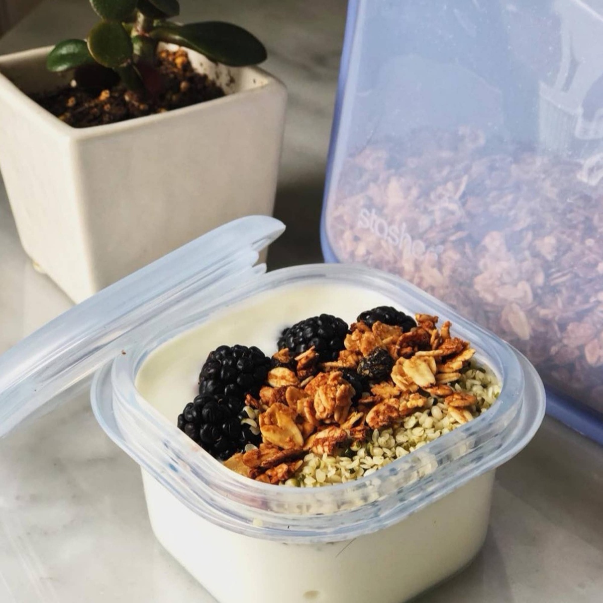 Minimal – 100% Silicone Storage Containers – 6oz | Exist Green