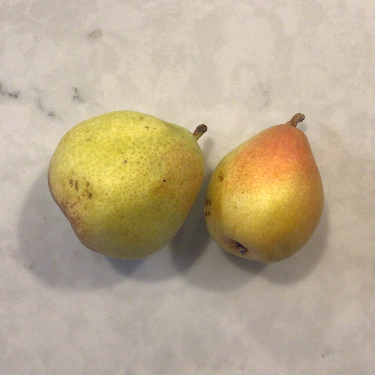 Pears, Bartlett, Organic | Exist Green