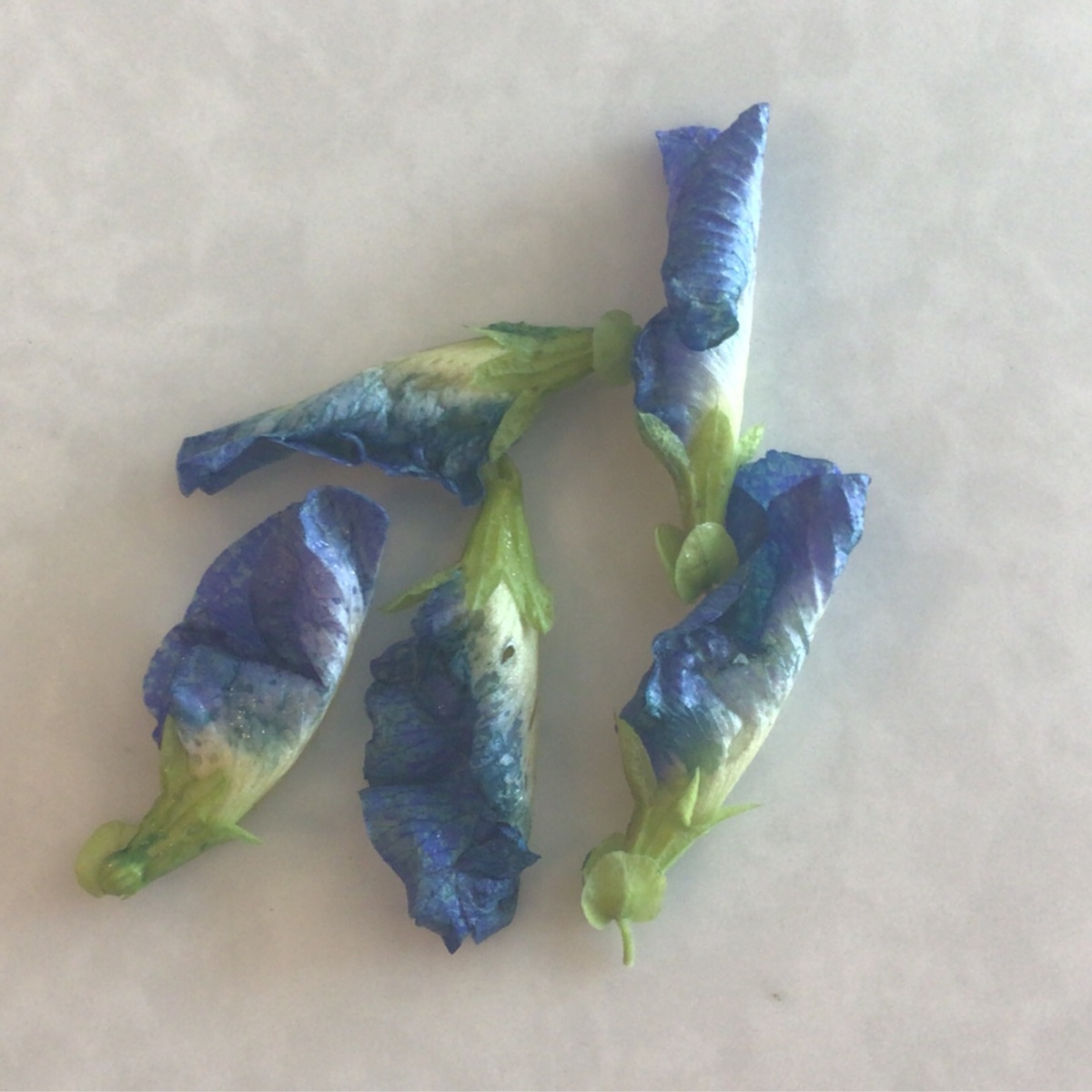 Edible Flowers, Butterfly Pea | exist green