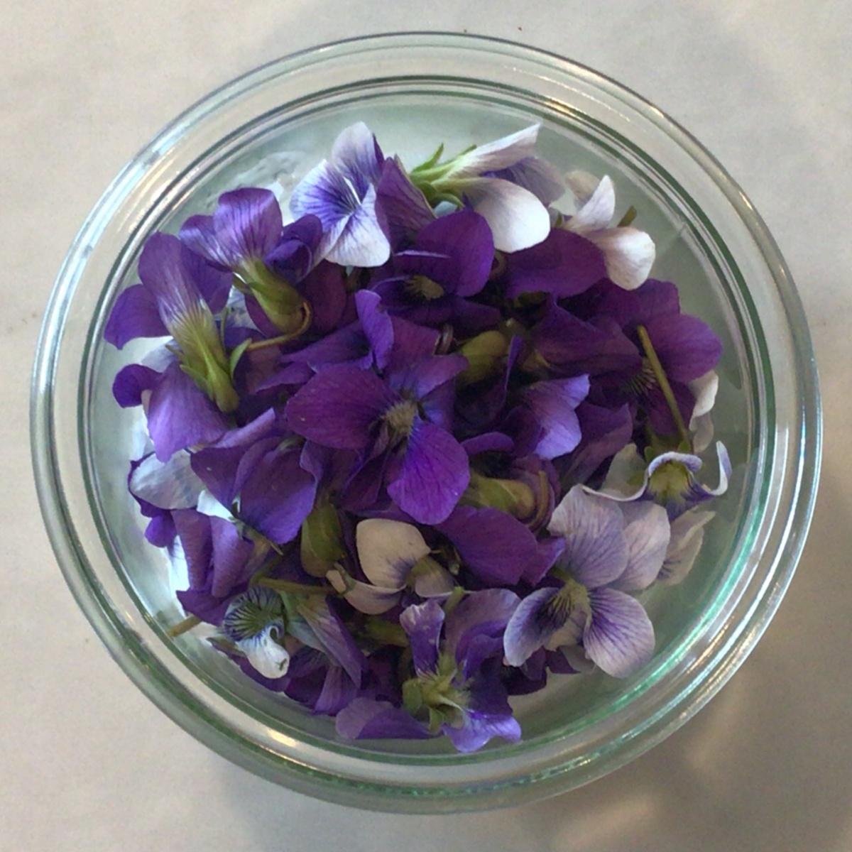 Edible Violet Flowers (~25 blooms)