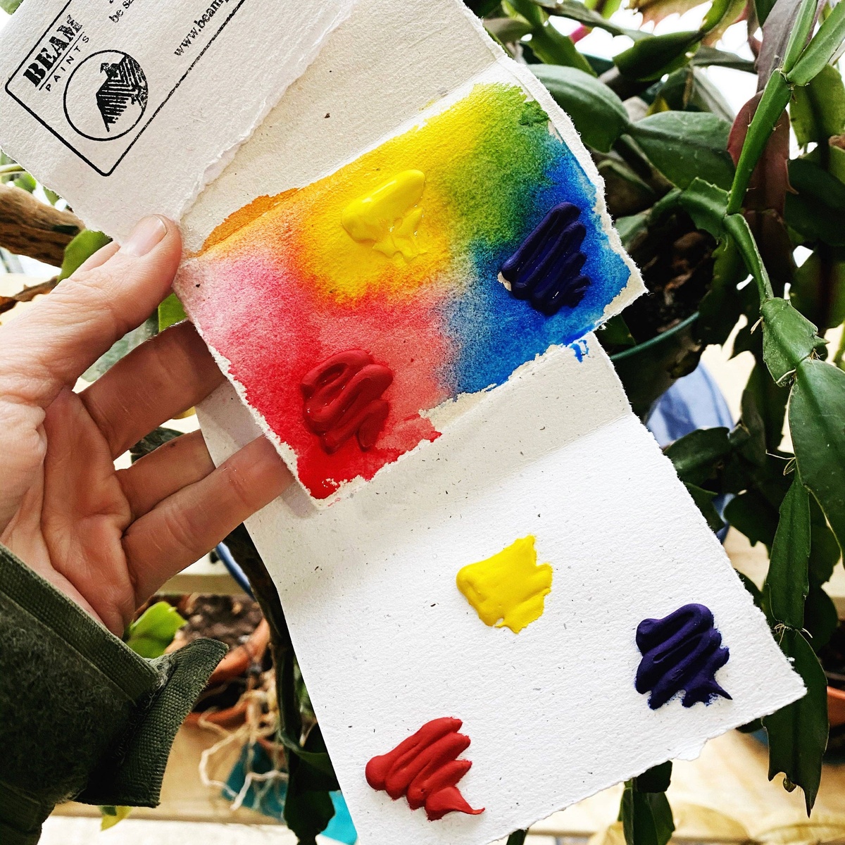 Beam Paints – Beam Travel Card | Exist Green