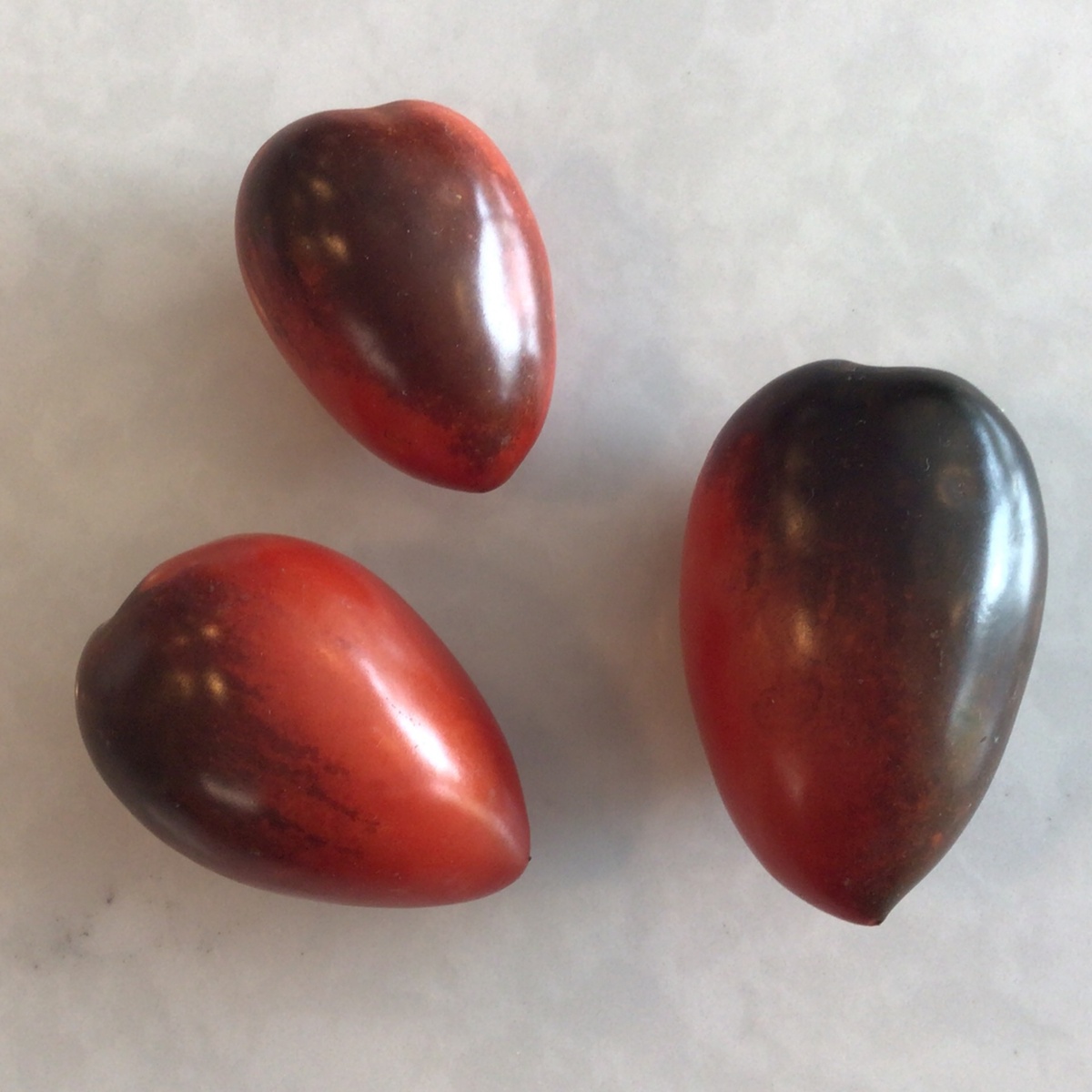 Tomatoes, “Midnight Roma” | Exist Green