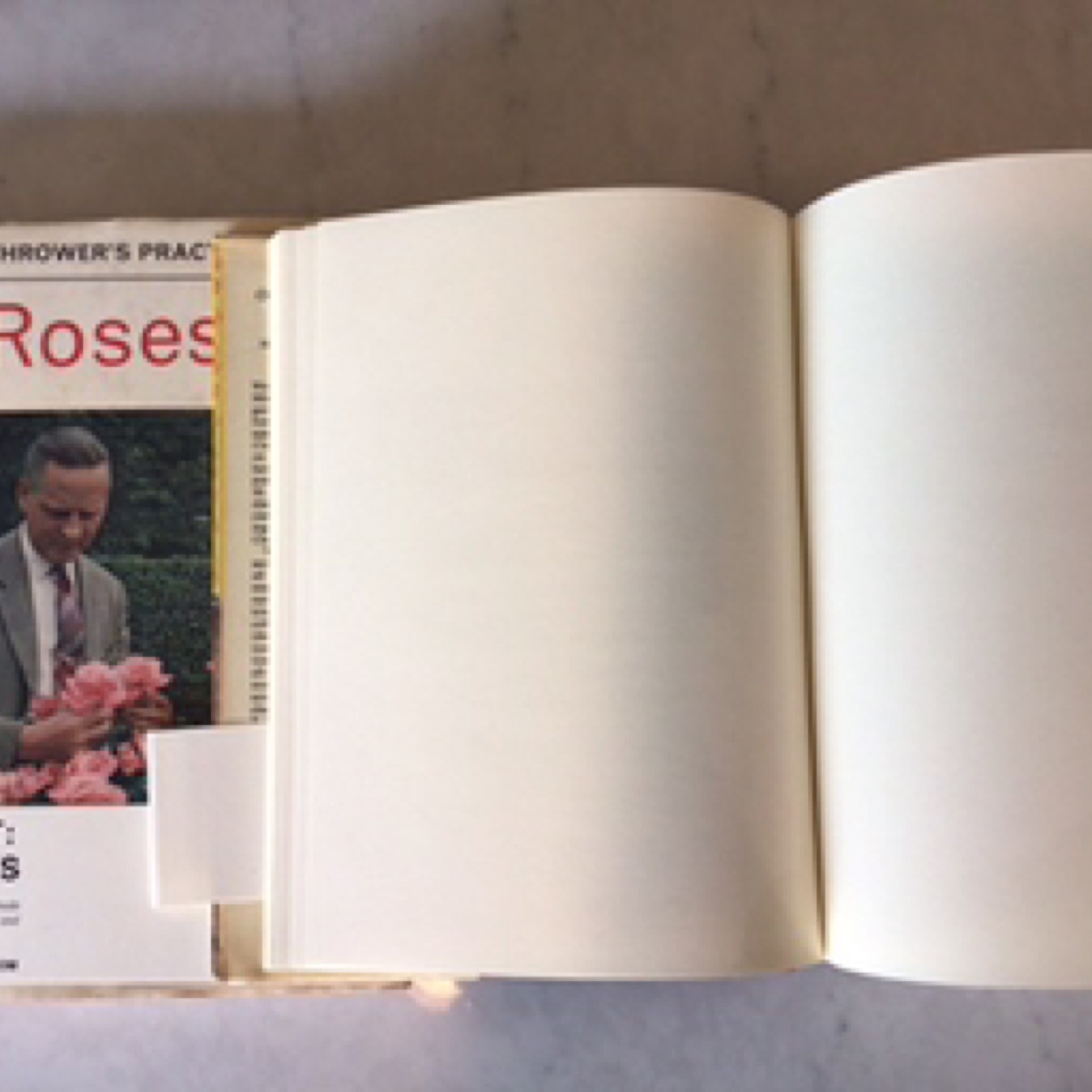 About Blanks – Vintage Book (Notebook) with FSC blank pages | Exist Green