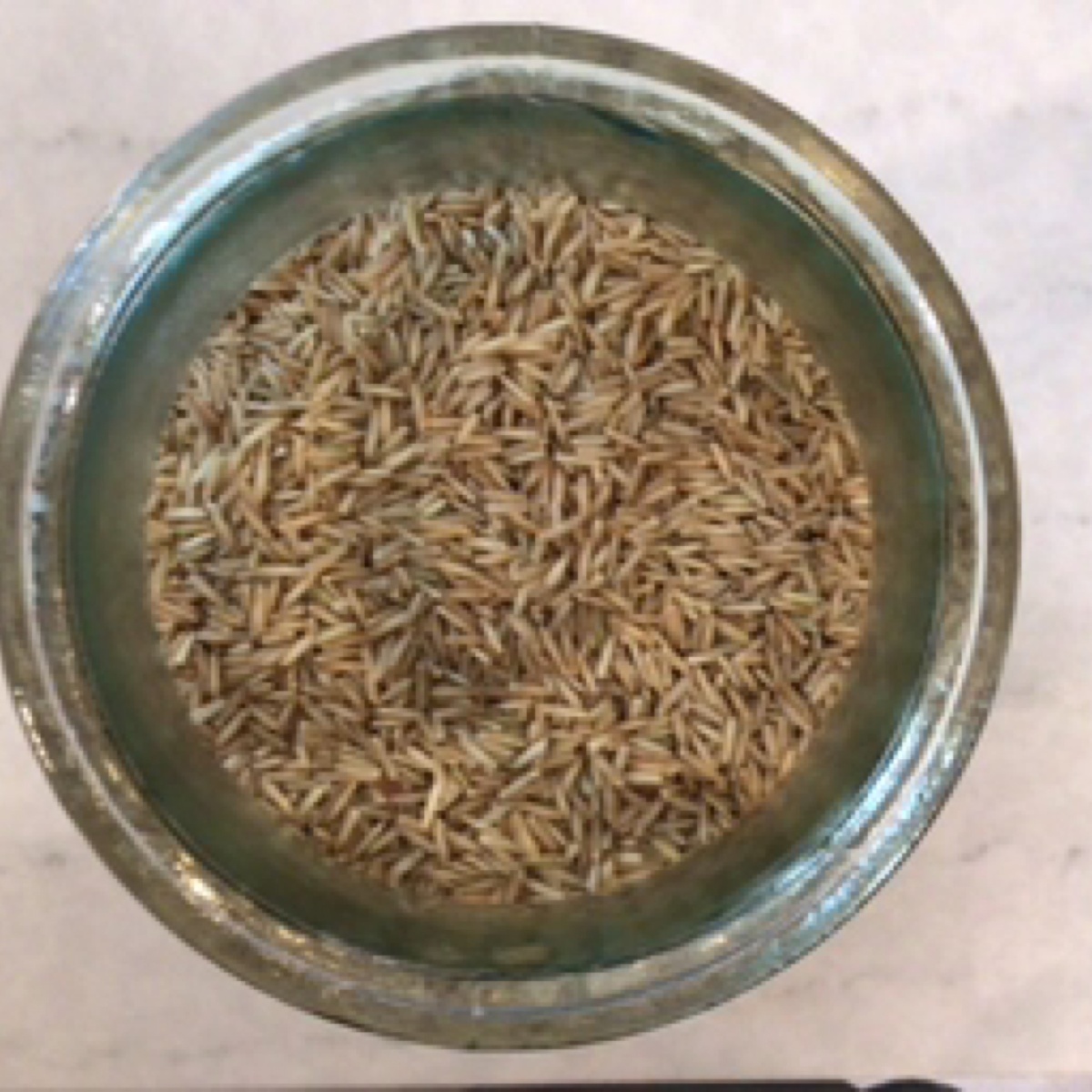 Brown Rice, Heirloom Basmati | exist green