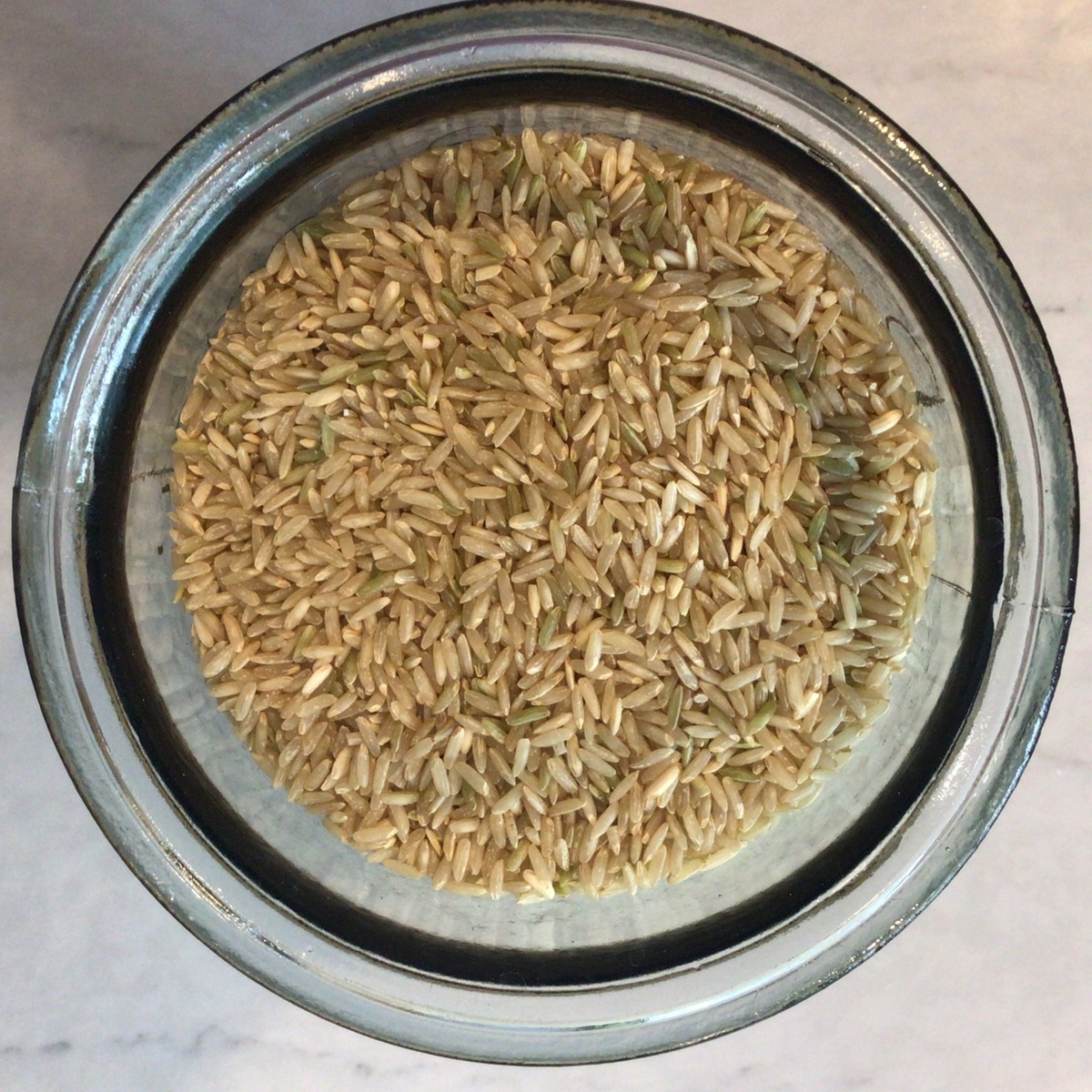Brown Rice, Jasmine, Gluten Free, Lundberg | Exist Green