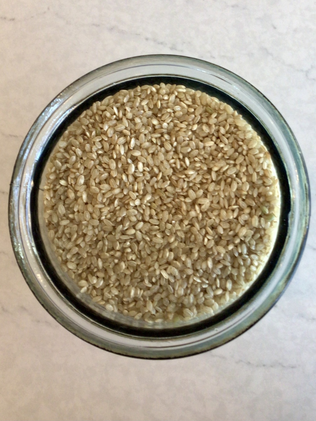 Brown Rice, Short Grain, Polit Farms | Exist Green