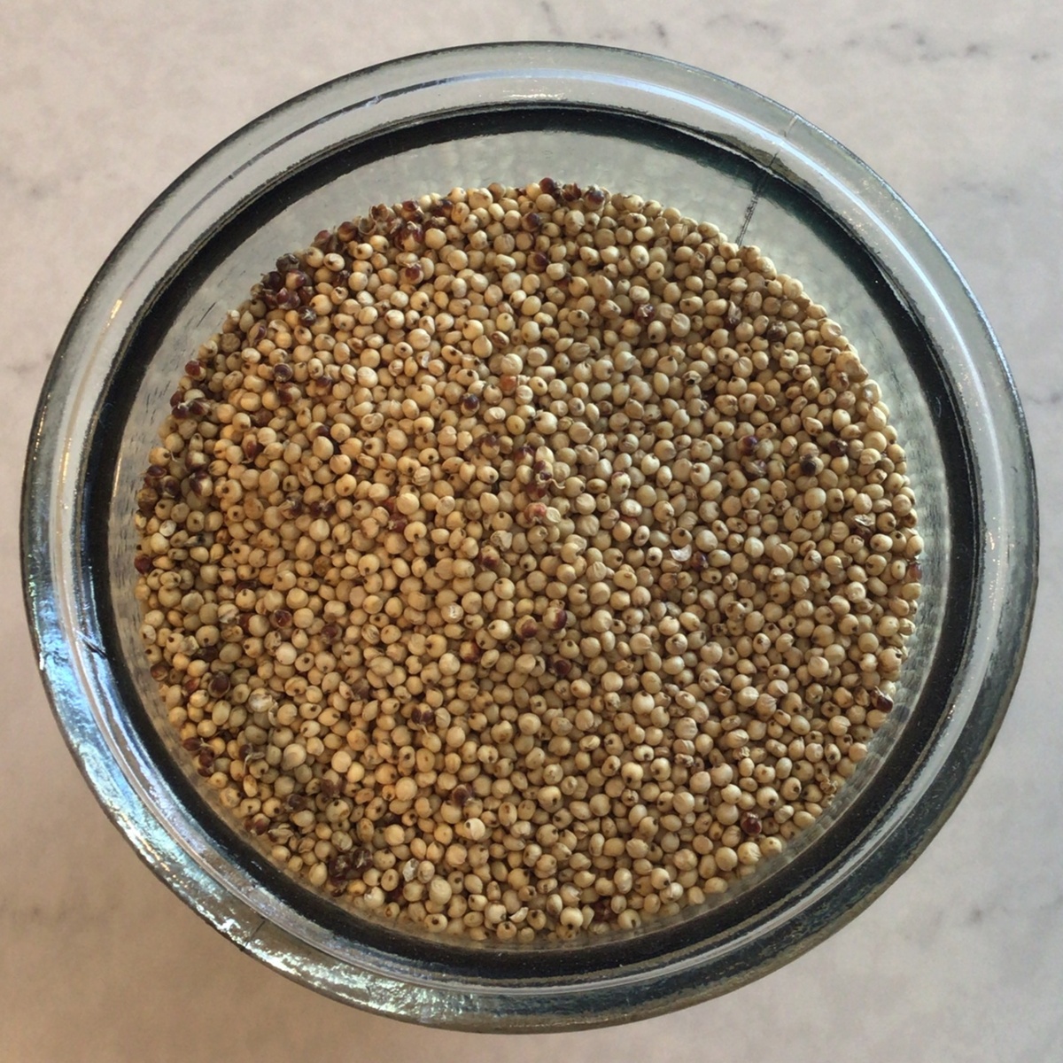 Sorghum | Exist Green