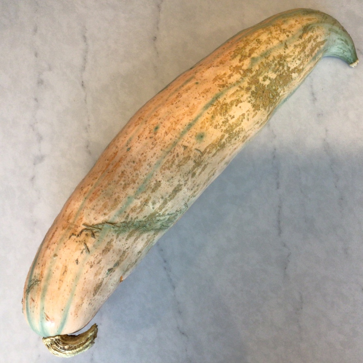 Squash, Georgia Candy Roaster (Large)