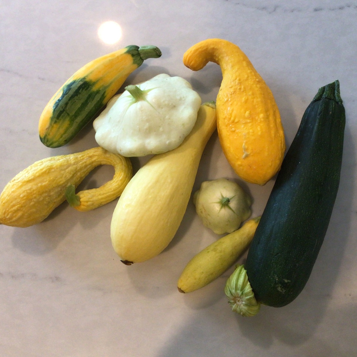 Summer Squash Mix | Exist Green
