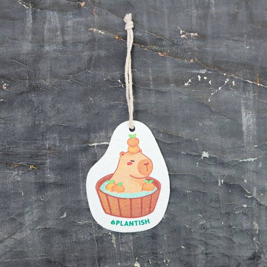 Plantish – Capybara Pop up Sponges